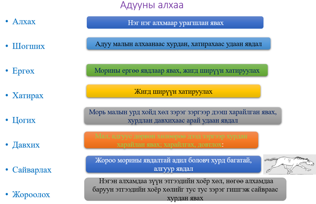 Мэдлээ Цахим контент